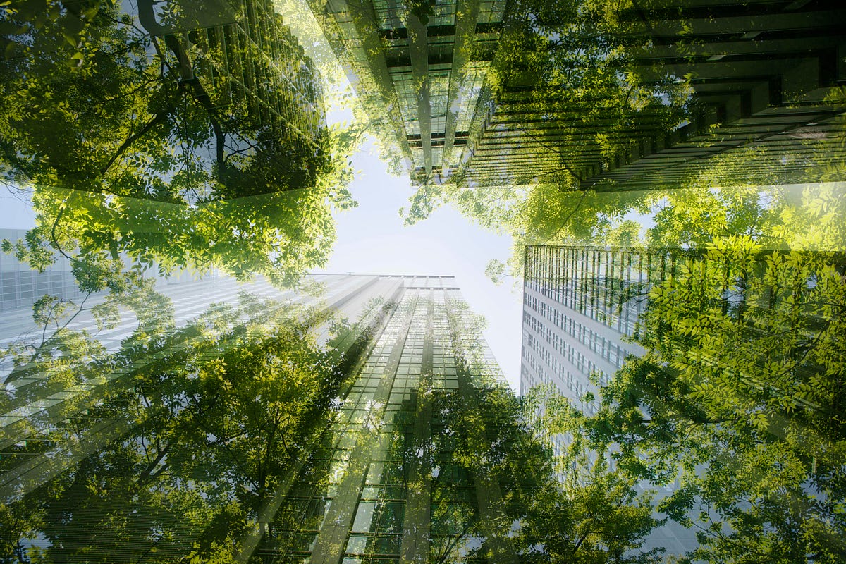 Green Offices. Sustainable Office Design | by Darshana Dash | Medium