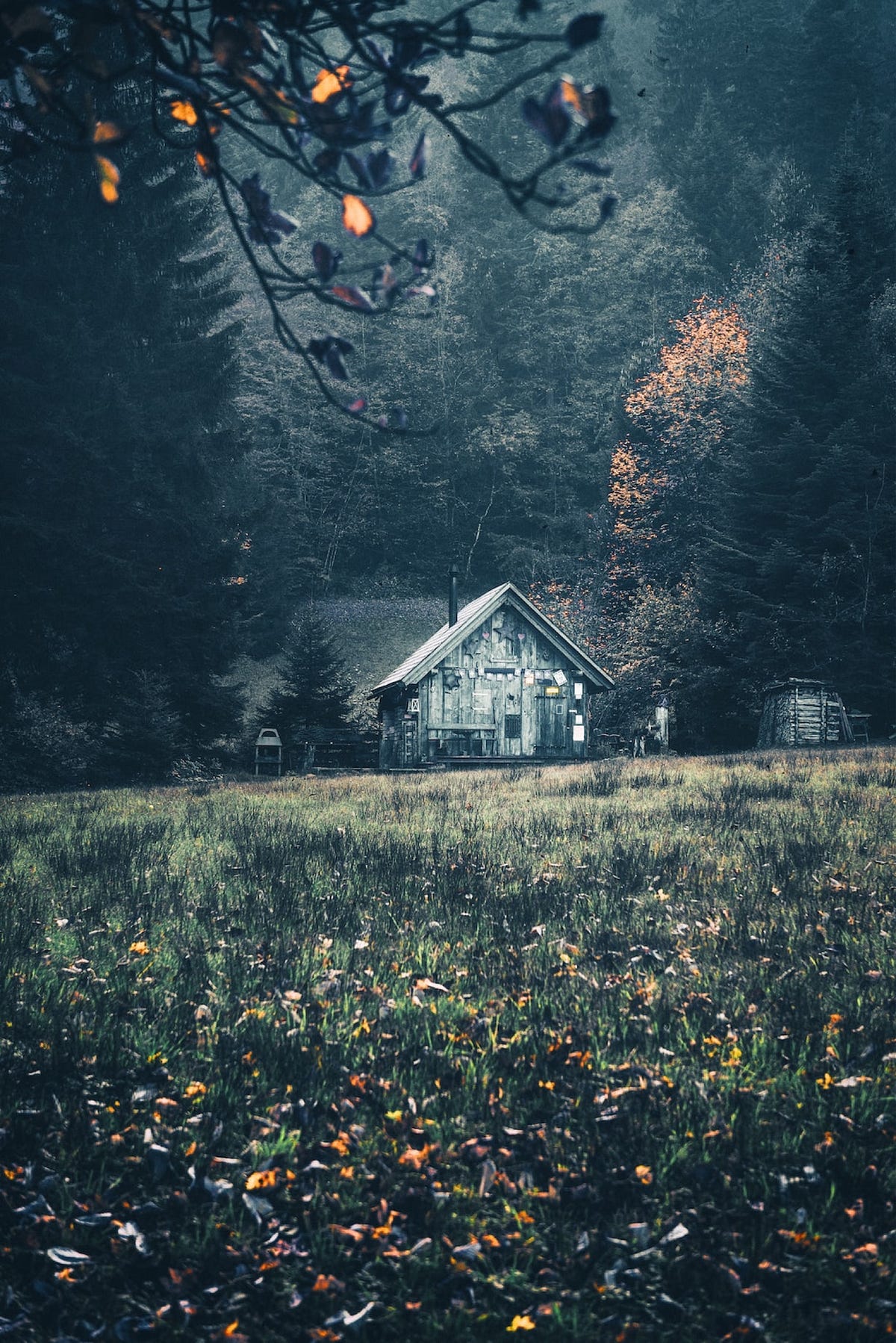 ISOLATION (short scary story). I laid in bed in a fragile state… | by ...