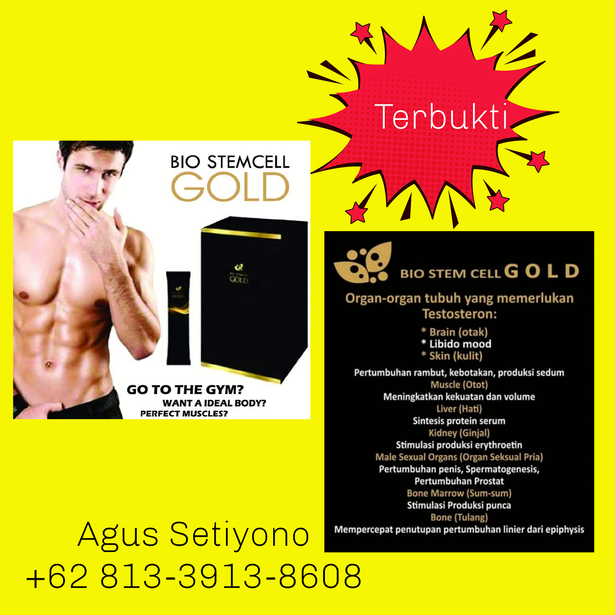 Biogold. Biogold | by Agus Biogreen Tabanan | Medium