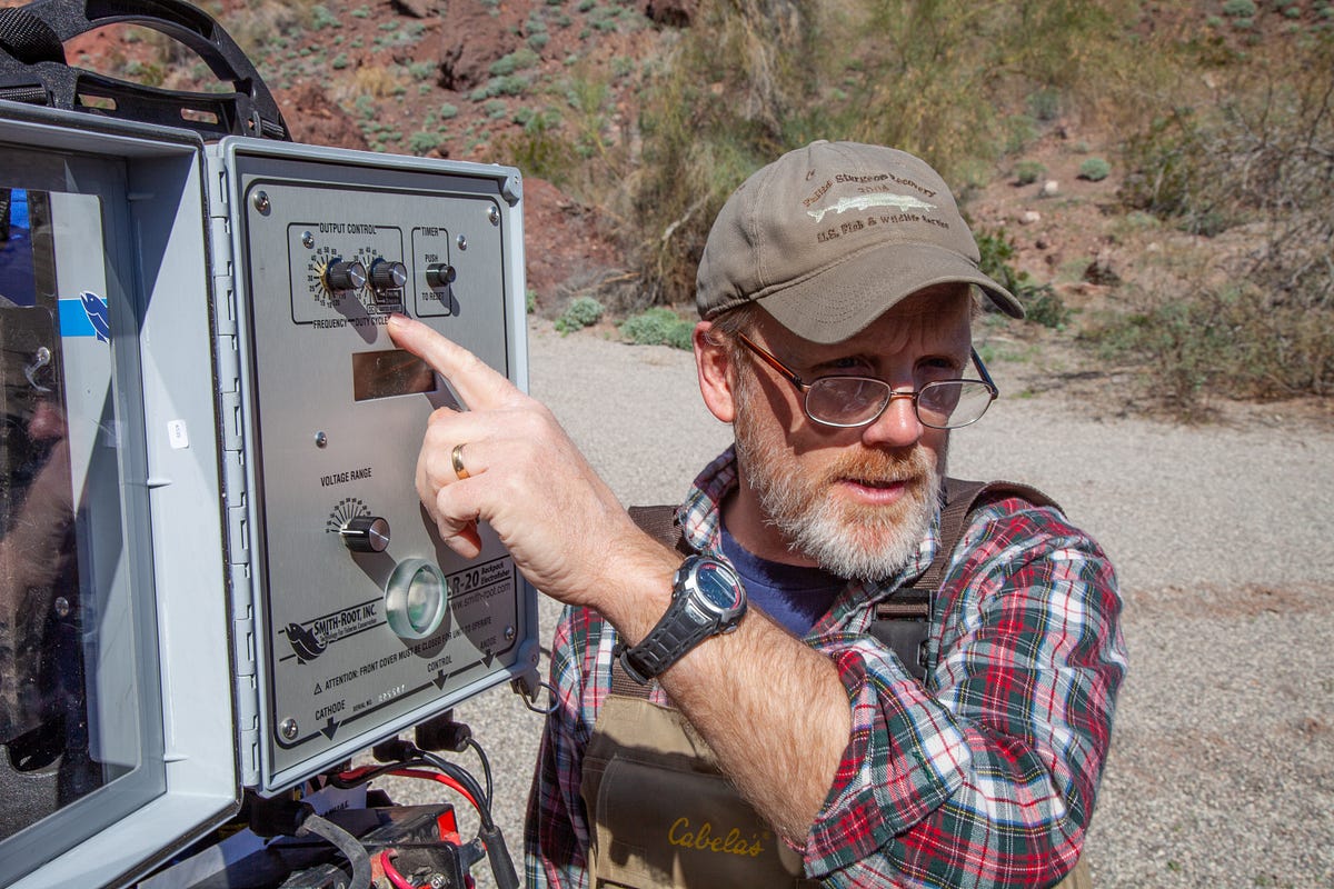 FWS Scholar: Alan Temple. Alan Temple grew up in western Kentucky… | by ...