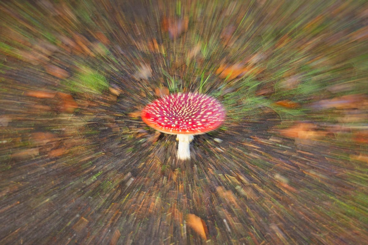 Who Should Judge my Photos?. Is my own opinion really that… | by Mark ...