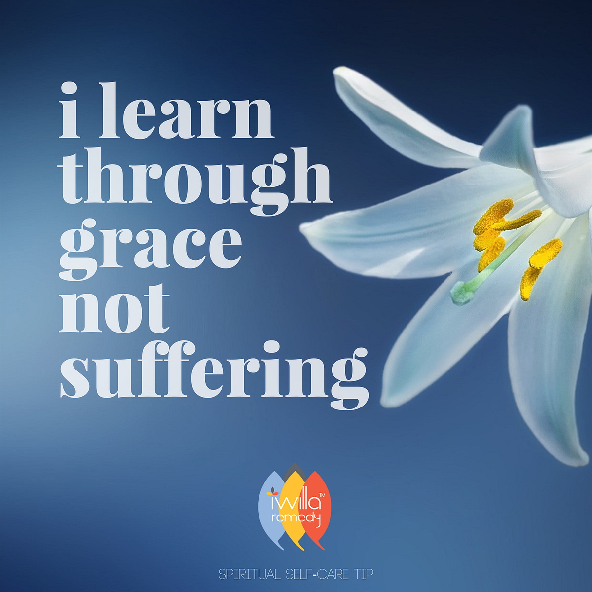 Learning Through Grace, Not Suffering | by Selima Harleston Lust | Medium