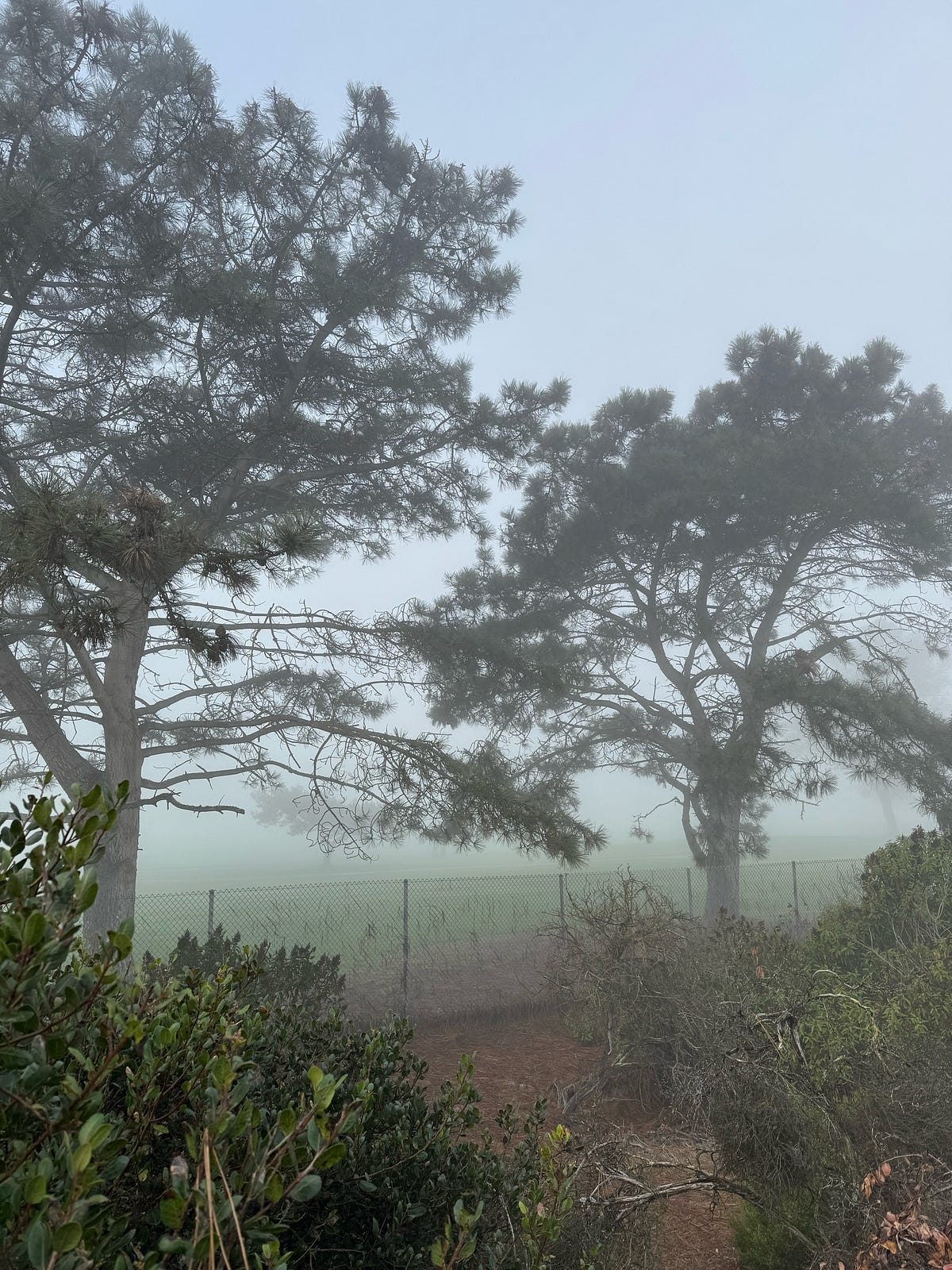 Morning Peace. I had a paper delivery route as a… | by Mo Faul | Medium