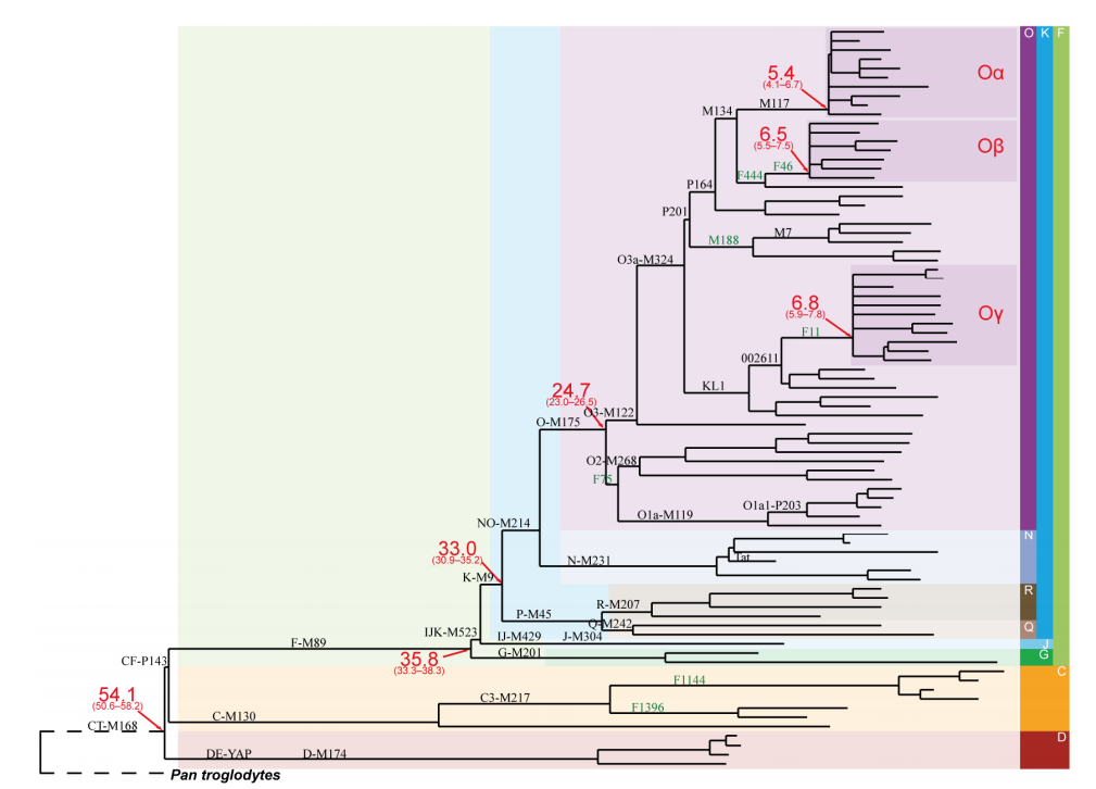 DNA Evidence Suggests 300 Million Chinese Men Are Descended From Just ...