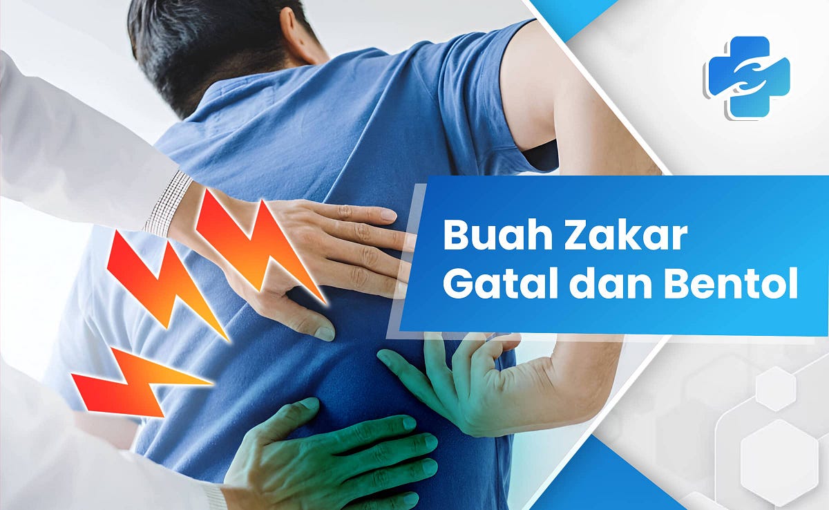 Ketahui Penyebab Umum Gatal dan Bentol Pada Buah Zakar | by ...