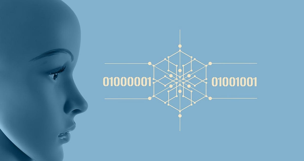 How To Build A Career In Python Programming By Digistackedu Academy Medium
