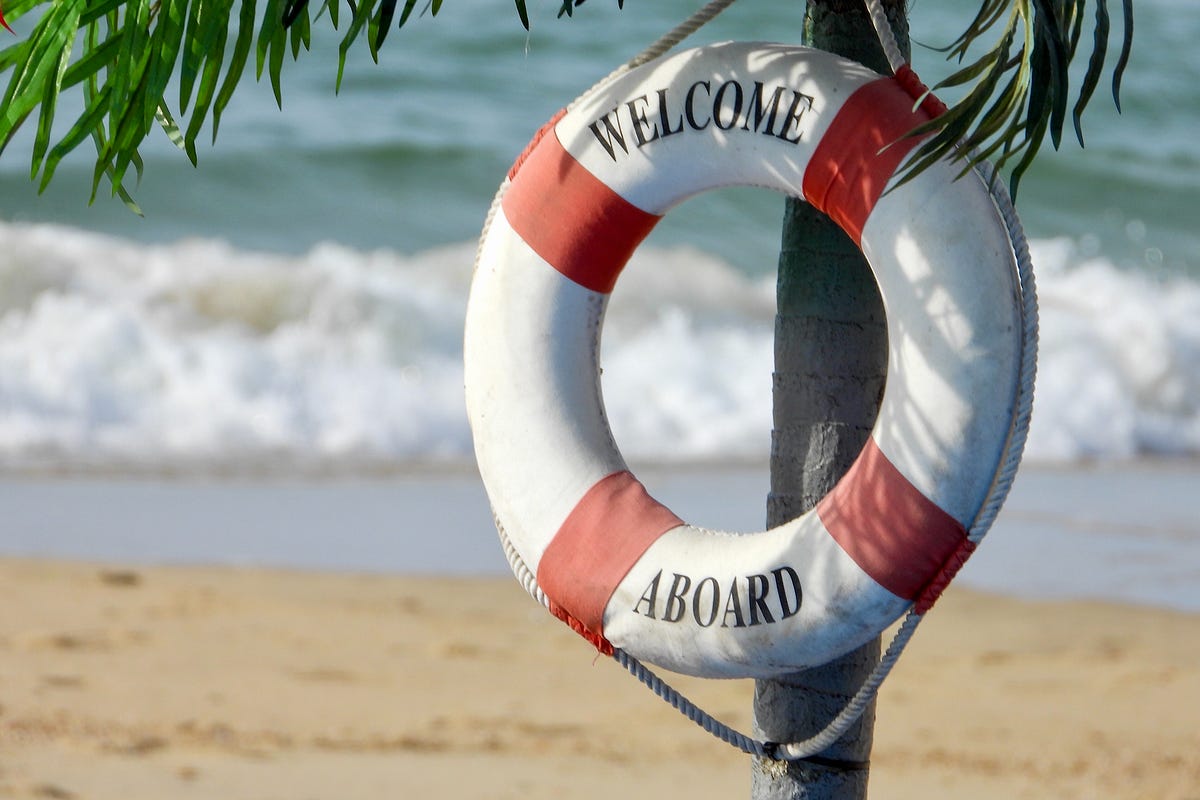 Psychological Safety is the Bedrock of High-Performing Teams | by Nikki ...