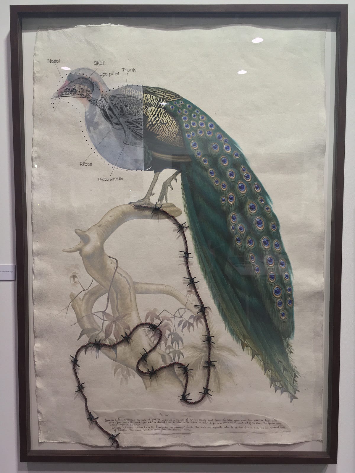 Art Basel Spotlight. Jonas Kelsch — Hong Kong | by Jonas Thomas Kelsch ...