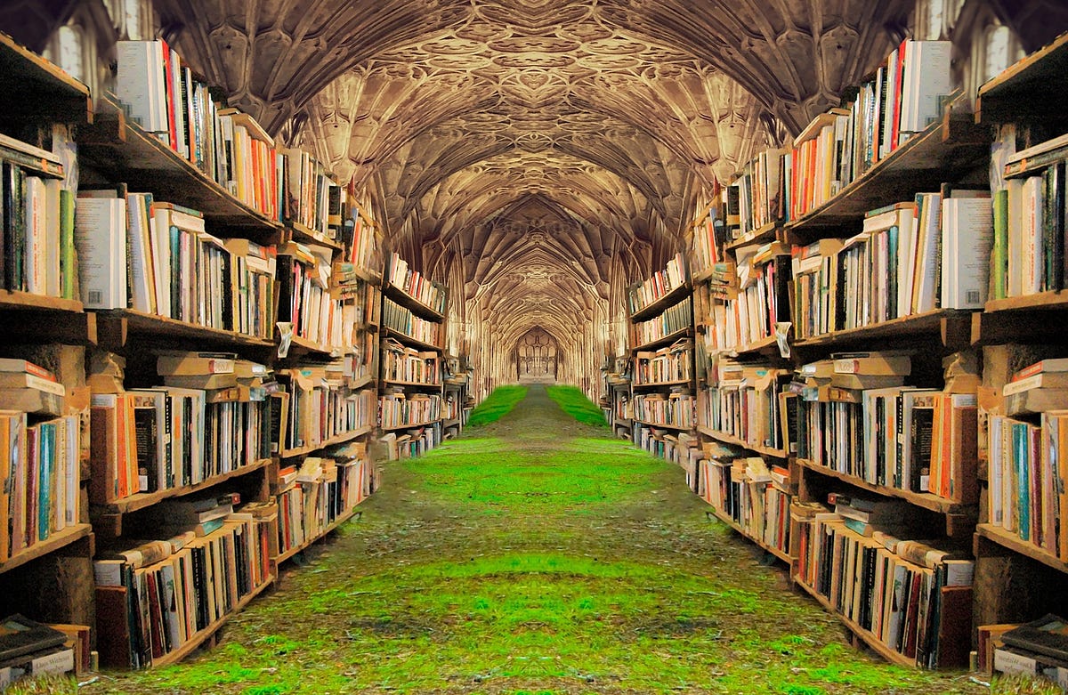 To Be a More Interesting Writer, Be a More Interesting Reader | by Alex ...