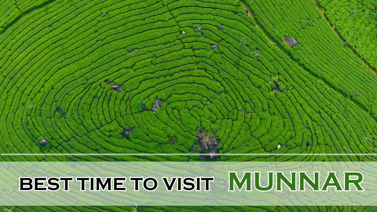 BEST TIME TO VISIT MUNNAR. An ultimate destination for travel… | by ...