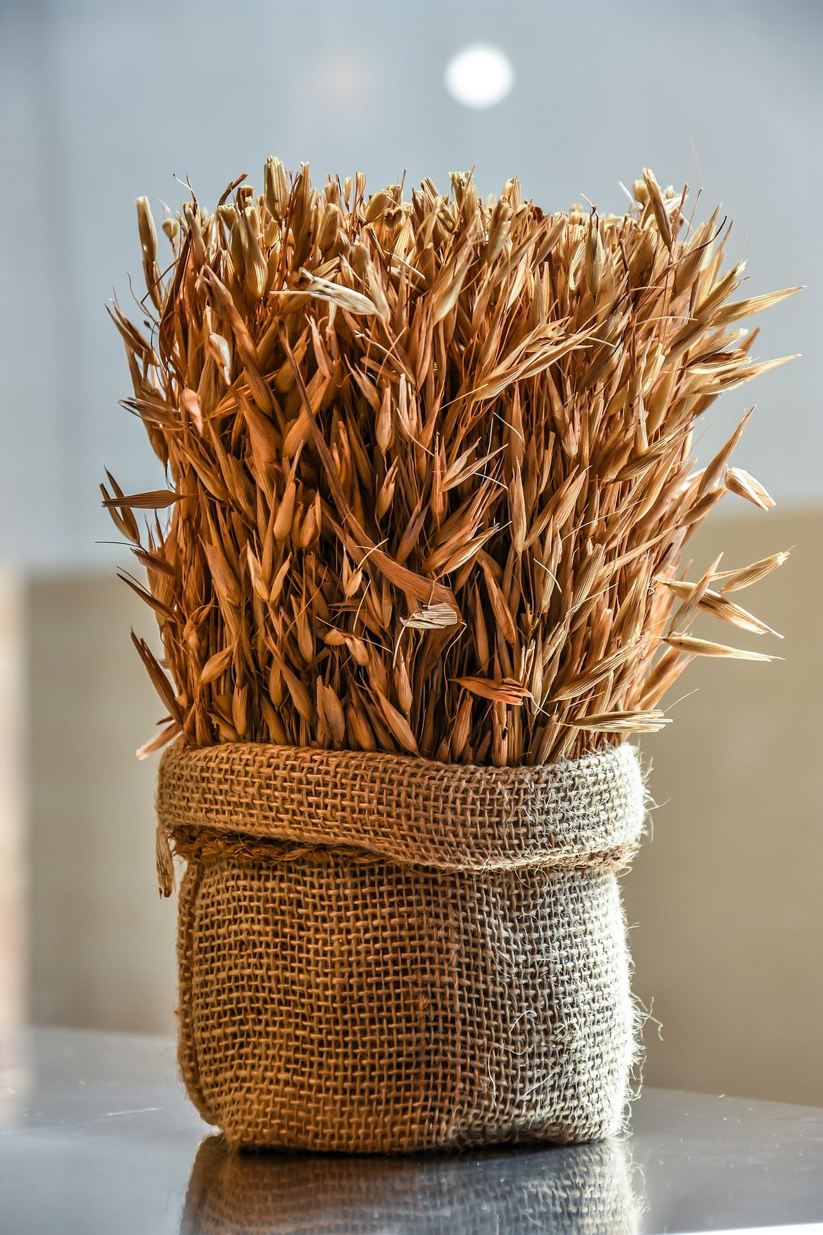 Rye Not Try This Ale? Exploring the Best Rye Beer Styles for Young ...