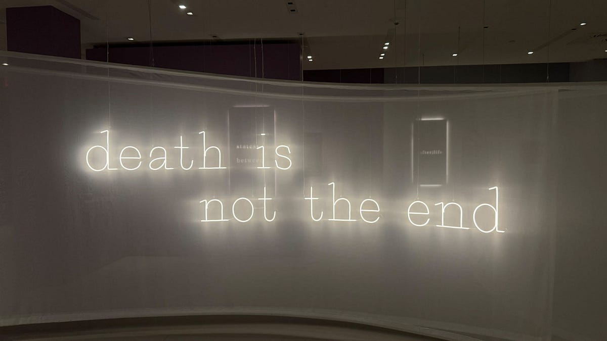 Insights from the “Death is Not the End” Exhibition | by Wanyi Zhang ...