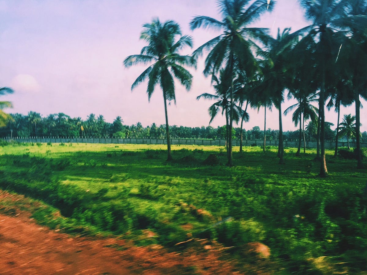 Mysore Road — Closed Blinds. I could tell by looking at him he… | by Abbey Seitz | Bangalore ...