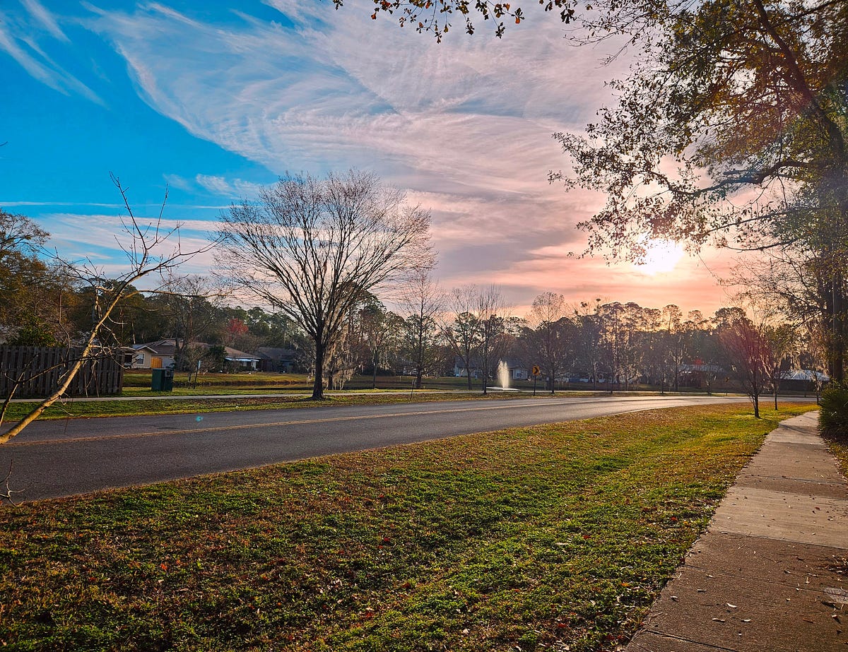 A Florida Morning - Simply Photos - Medium
