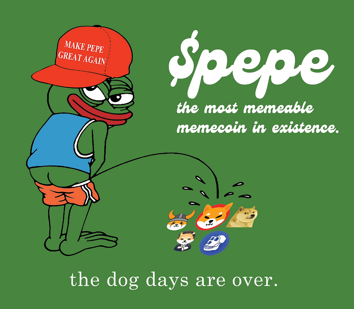What is PEPE, which rose more than 120,000 times in 20 days? | by ...