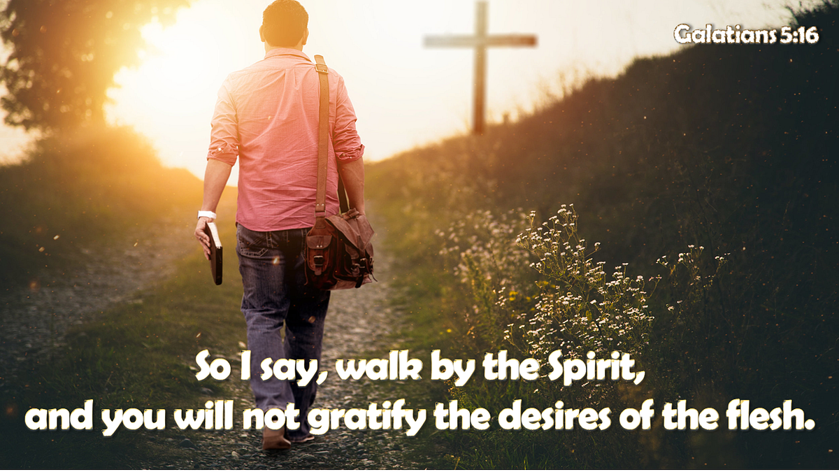 Here for More Than What’s Here. Day 2638 of the 7 day Bible verse… | by ...