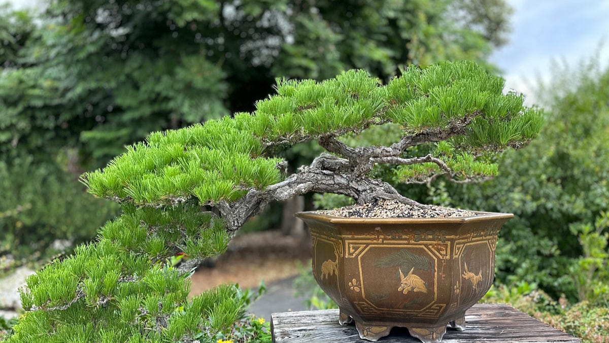 The Power of Experimentation: The True Wisdom Behind “Fail Fast” | by ...