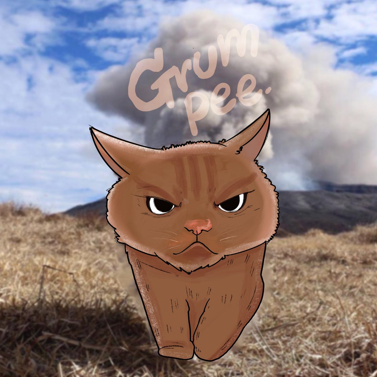 Grumpee Token. Cryptocurrency has come quite far in 10… | by ...