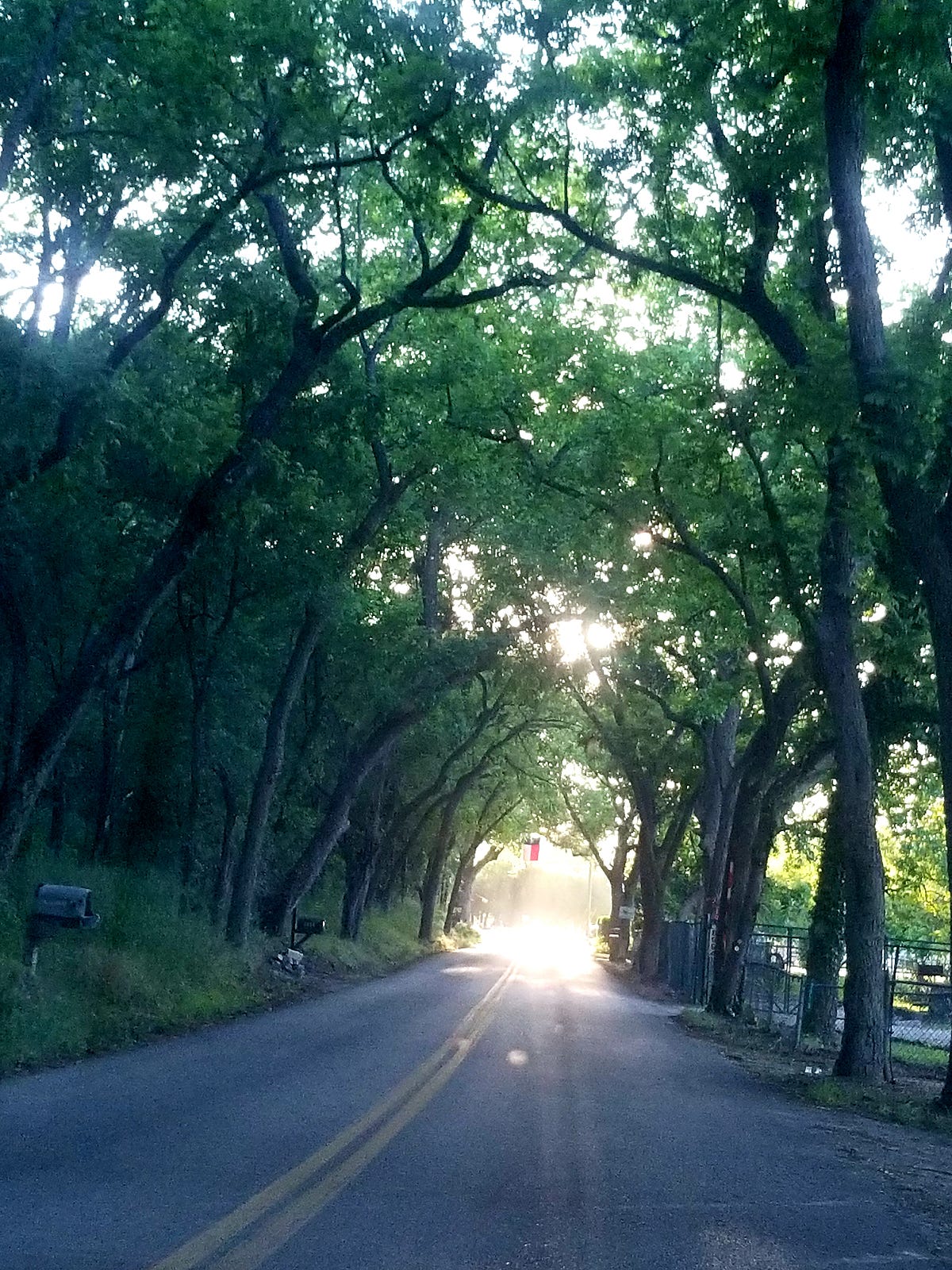 The Perfect Average Day. A Poem Written by Vivian Ennis… | by Vivian ...