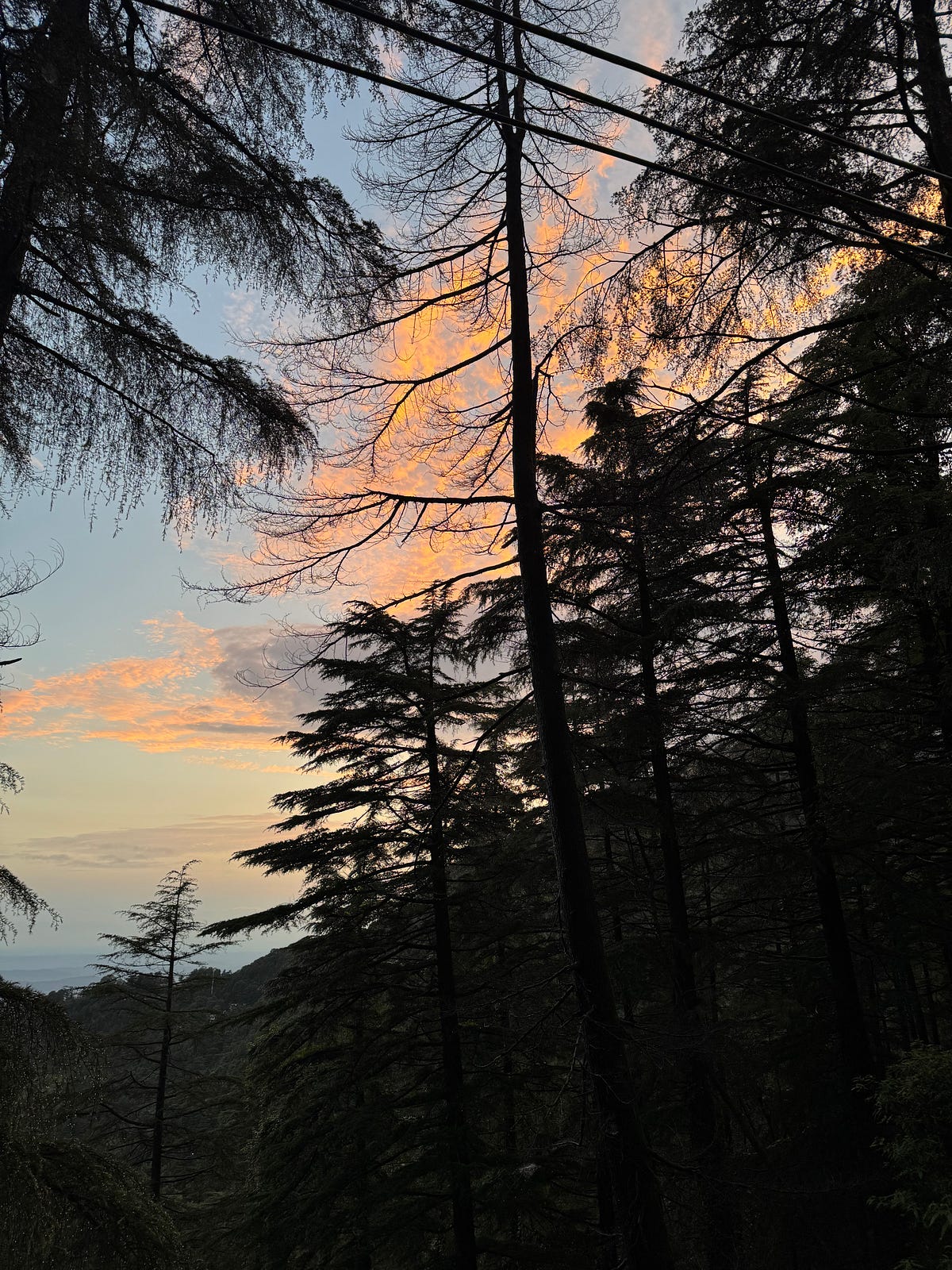A beautiful life felt and lived. For a long time I struggled to write ...