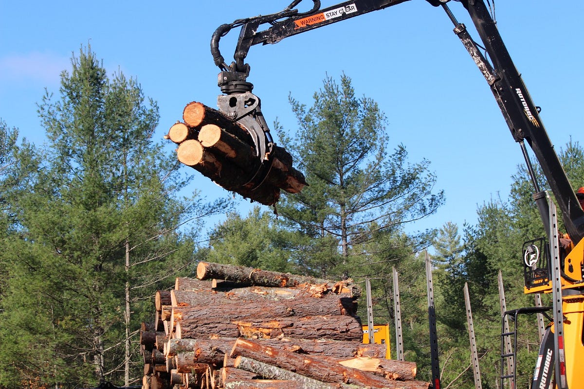 Professional Logging is More Than Cutting Trees | by Alexander Lovas ...