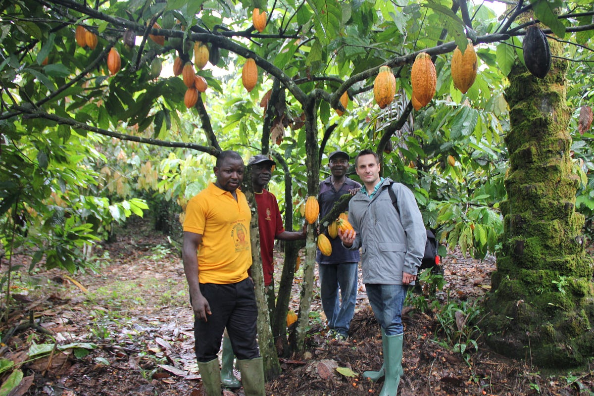 New York Times Recognizes Moka Origins Unique Business Model | by Karan ...