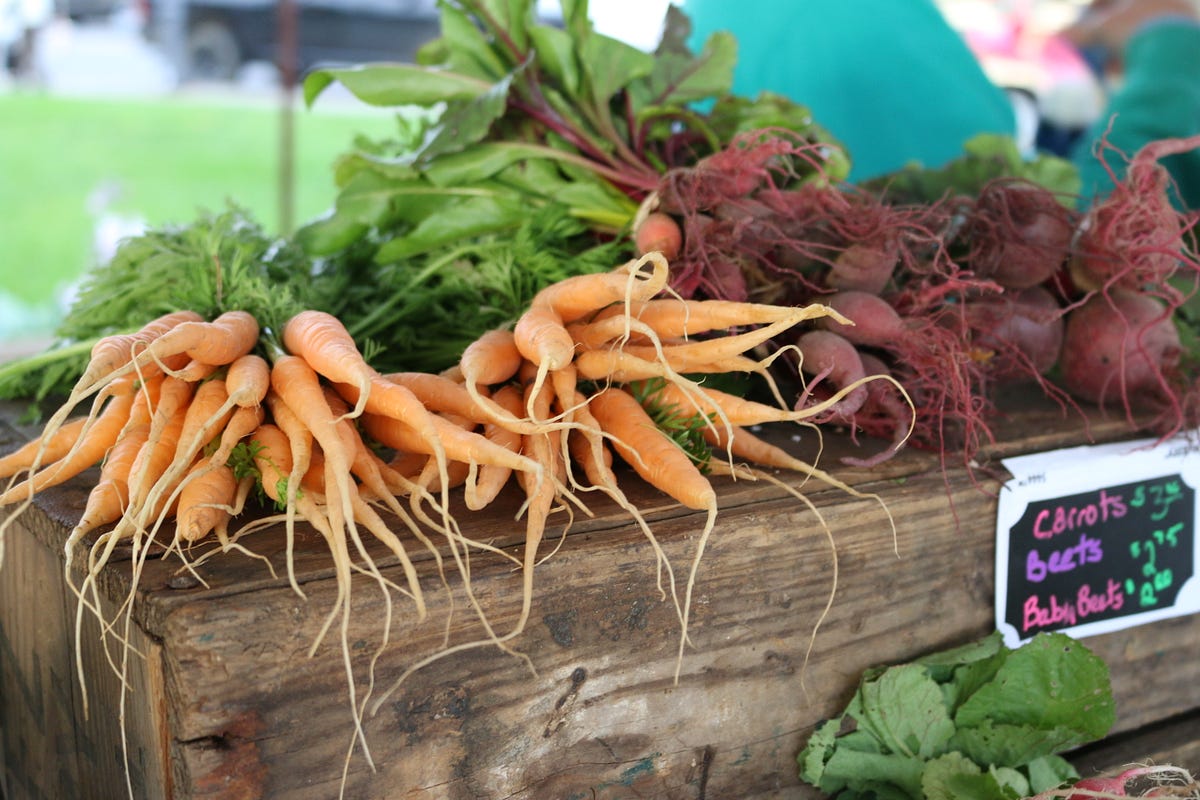 Two health junkies find a home on their health conscious farm | by ...