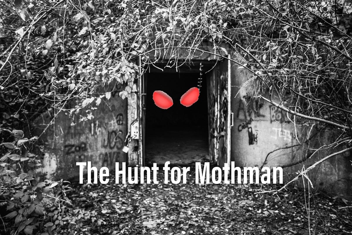 Hunting for the Mothman. Mothman has fascinated people since the… | by ...