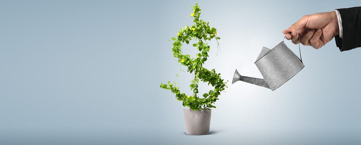 The Irony facing Growth. by Ralph Welborn, CEO of Imaginatik | by ...