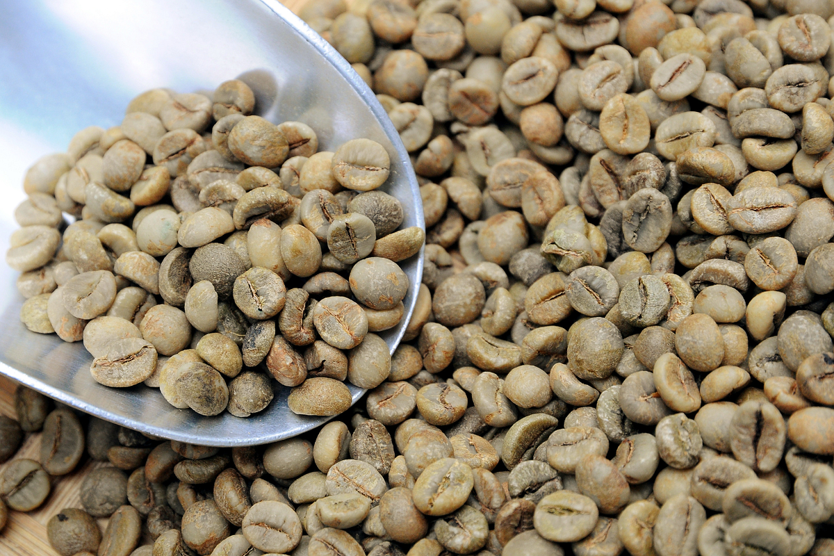 Classifying coffee beans based on size | by Vietnam coffee export | Medium
