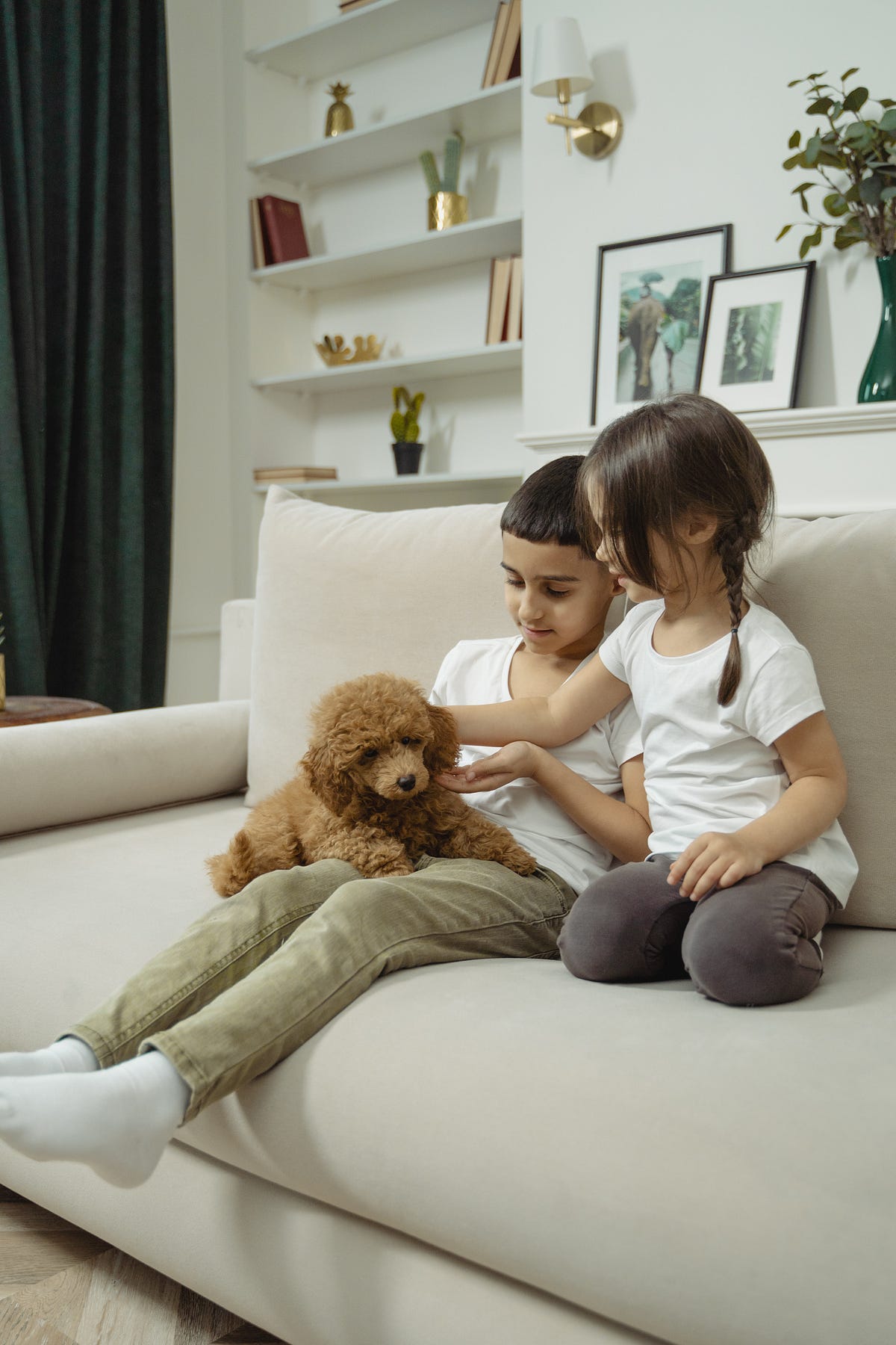 Moving with pets requires careful planning and consideration | by Eric ...