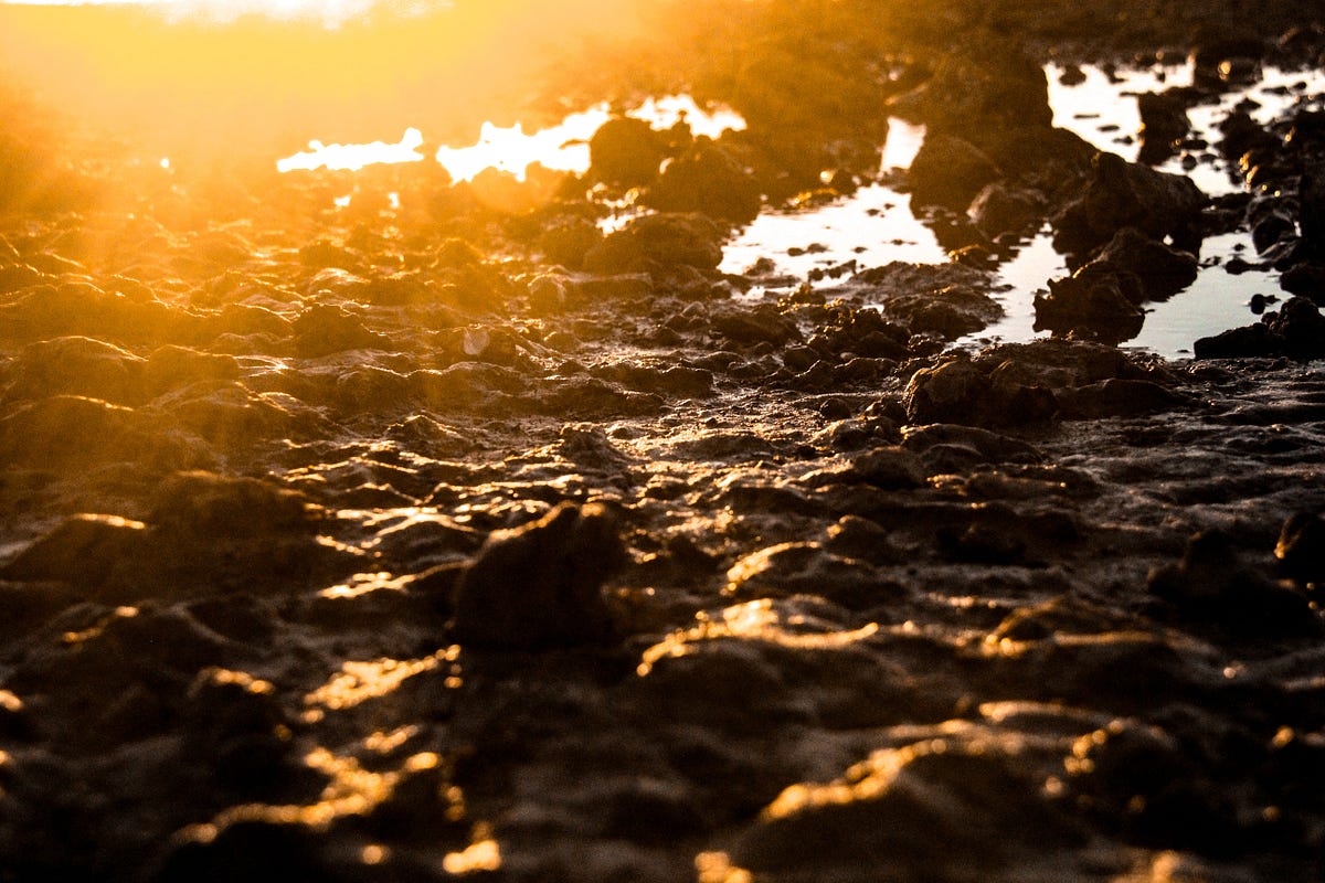 Pushing through life’s barriers. Getting Down and Dirty in Nature | by ...