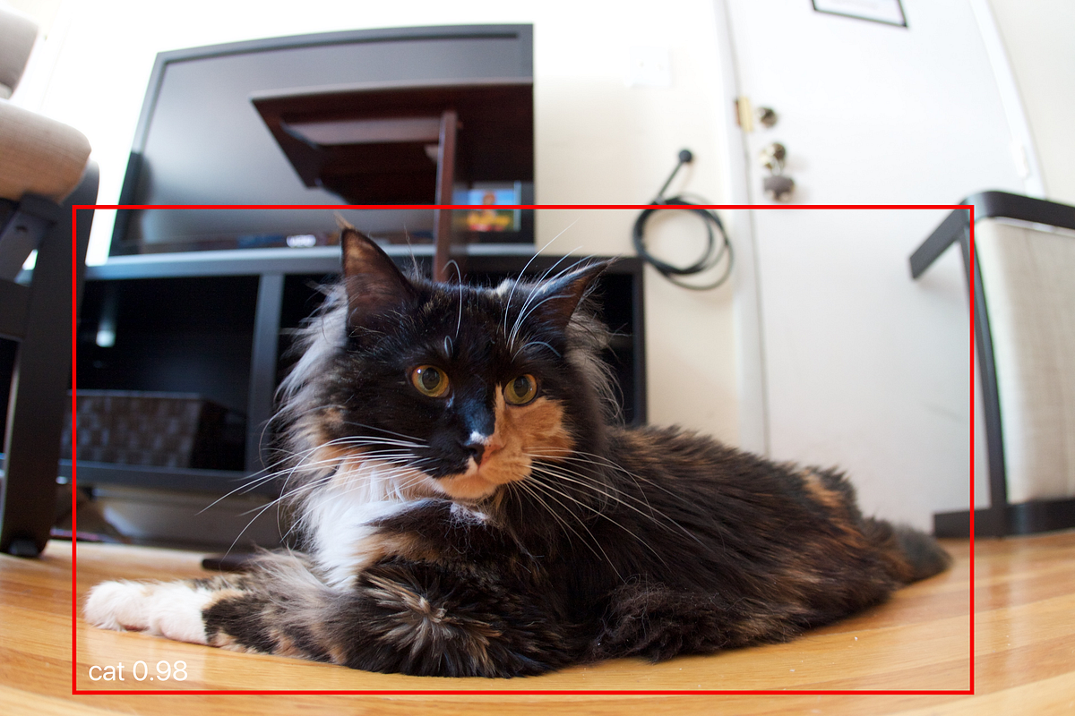 A guide to Object Detection with Fritz: Build a pet monitoring app in Android with machine ...