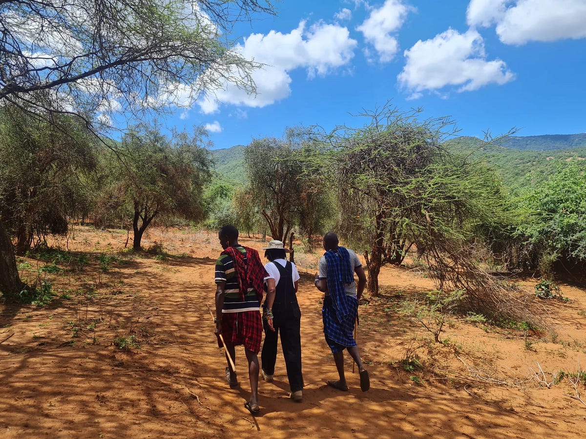Chama’s, and their potential for planetary regeneration | by Shai | Medium