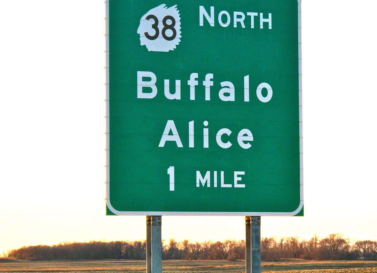 Buffalo Alice and The Enchanted Highway | by Eric Johnson | Medium