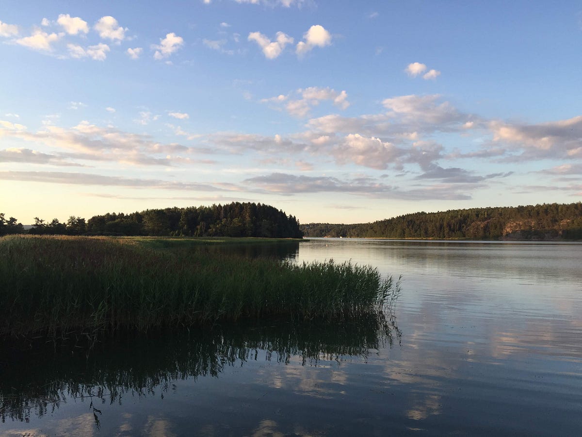 Heart and Mind at Peace. A Haiku | by Lisa Bolin | Medium