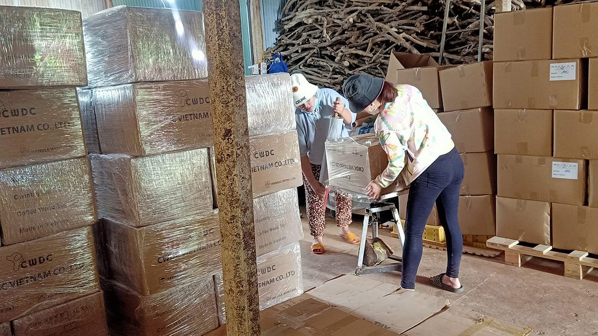 Benefits Unveiled: The Advantageous Impact of Coffee Wood Dog Chew from CWDC Vietnam | by Coffee ...