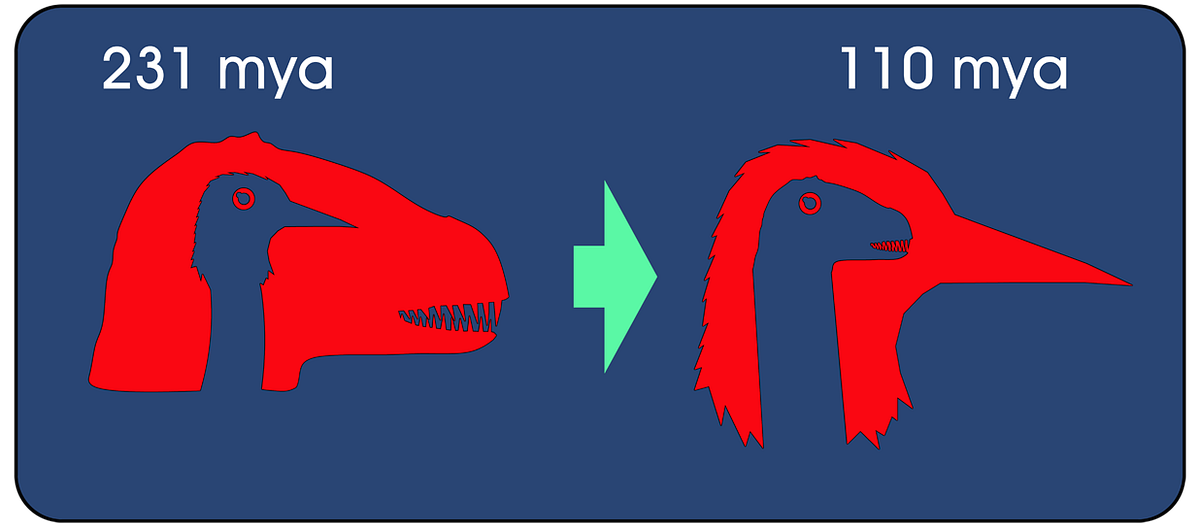 How birds lost their teeth, a theory… | by David Saintloth | Medium