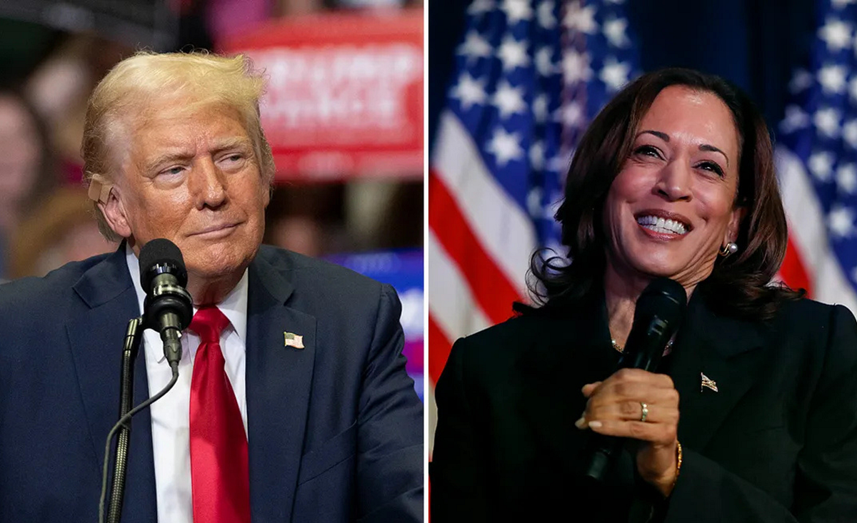The 2024 U.S. Presidential Election: A Nation at a Crossroads | by ...