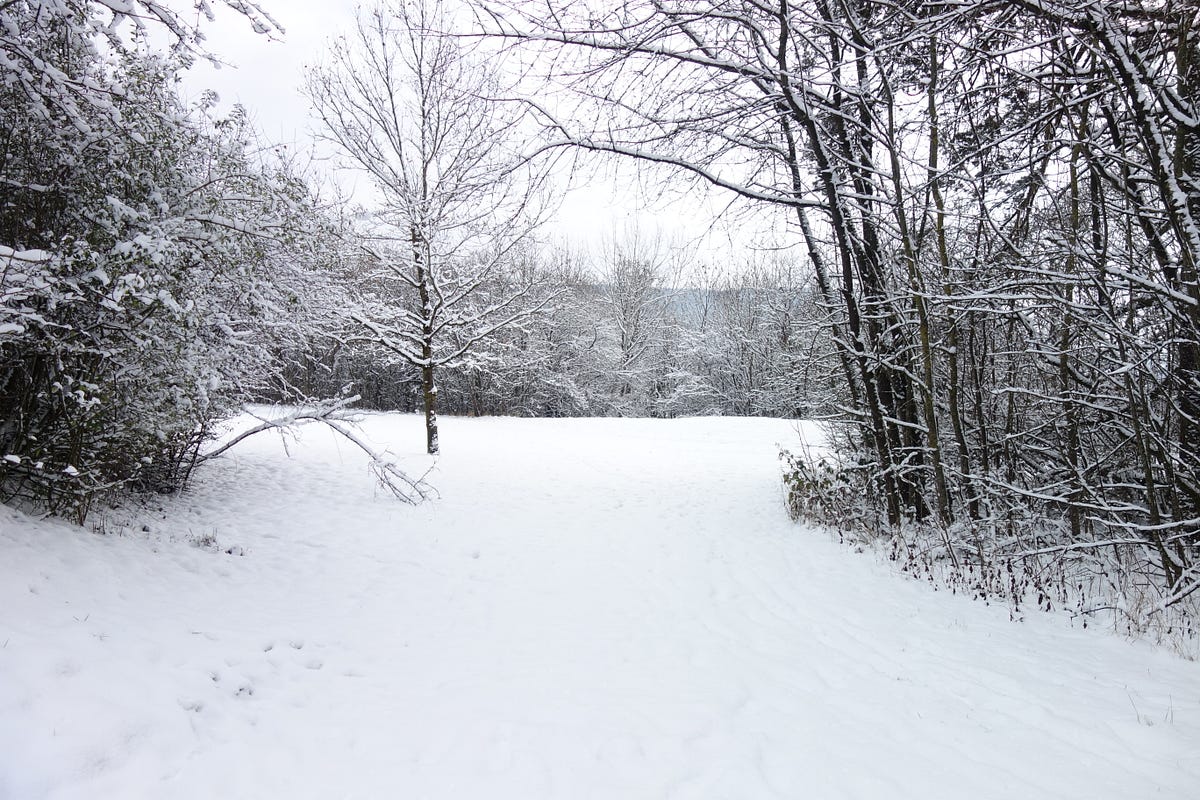 Das Knirschen des Schnees. Schnee verzaubert, verwandelt die Welt… | by ...