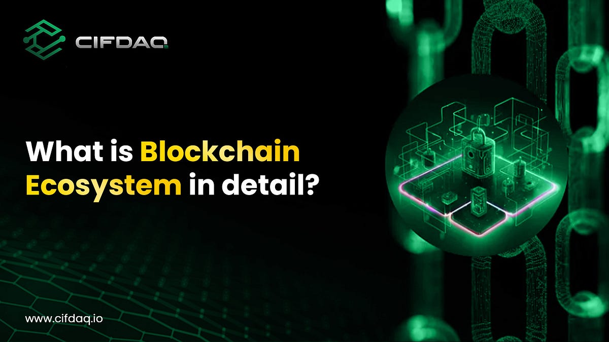What Is Blockchain Ecosystem In Detail By Cifdaq Medium
