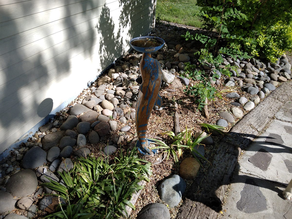 Misadventures in Composting. no one gets out of my back yard alive | by ...