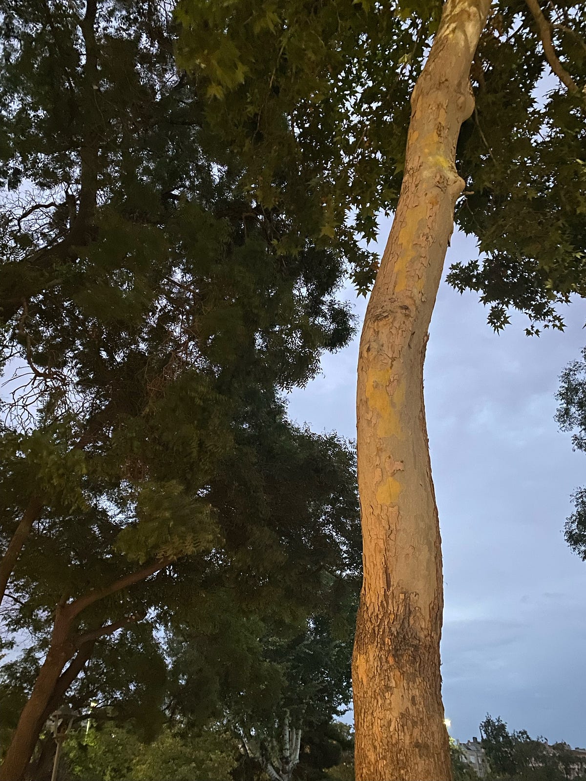 Bir Yaz Terennümü | by Yusuf Hancıoğlu | Medium