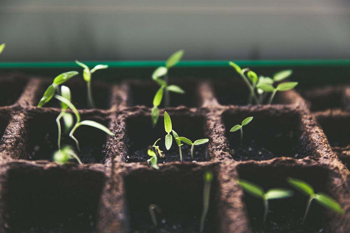 Why a SaaS business needs a growth team and how do growth teams operate? | by Mukil Ganesan | Medium