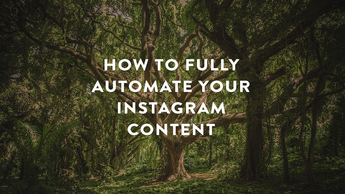 Fully Automate Sourcing And Sharing Instagram’s Most Viral Content | by ...
