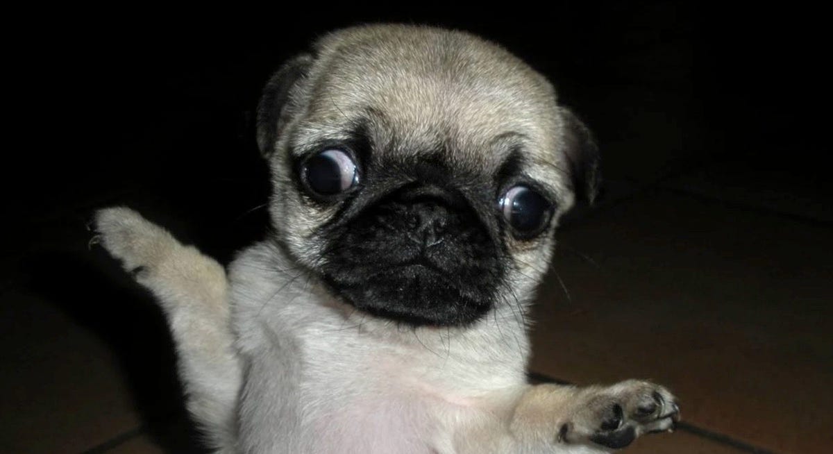 Typescript Make A Front End With React In 10 Minutes By Taylor Coon Level Up Coding