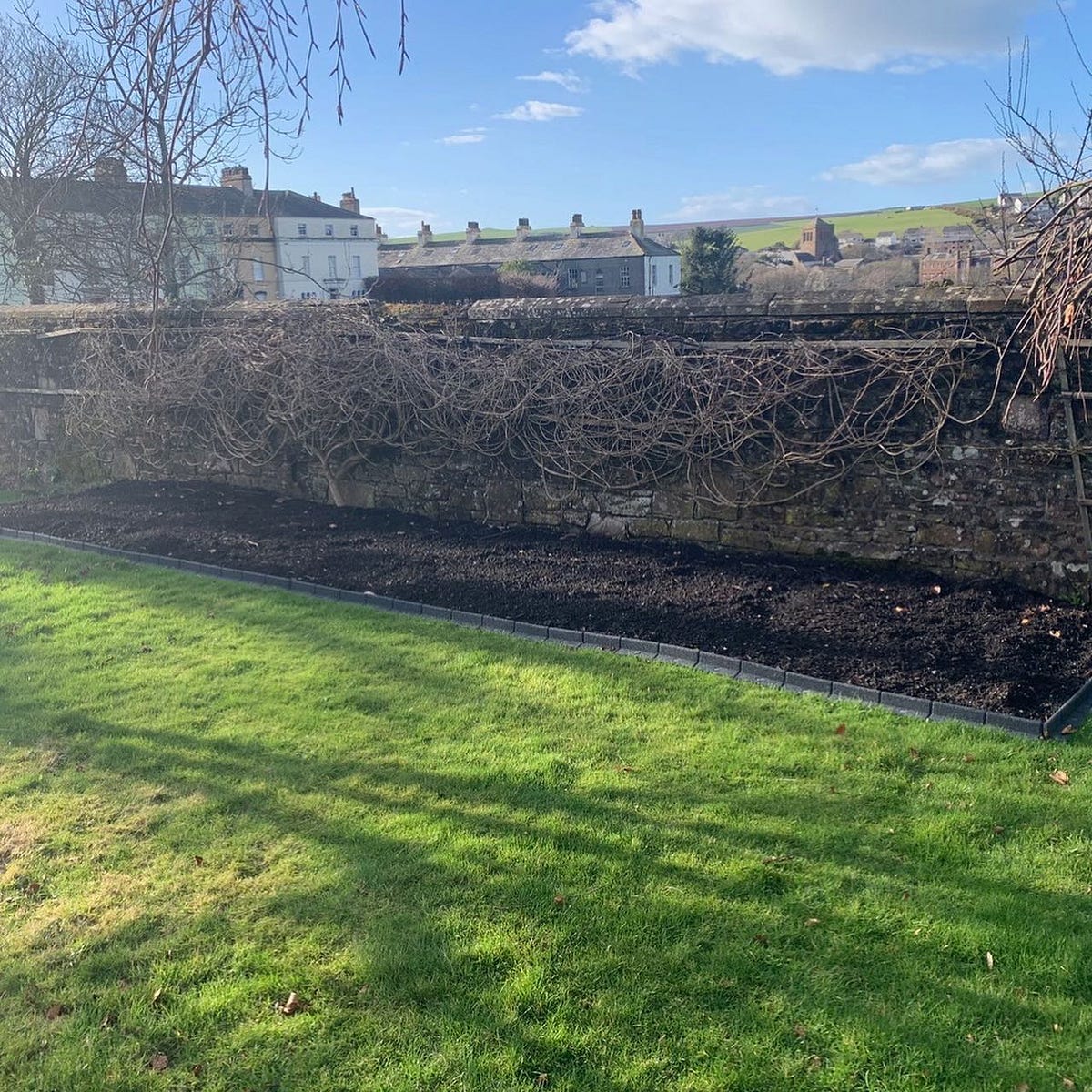 Elegant Garden Border Edging - Flexi Border - Medium