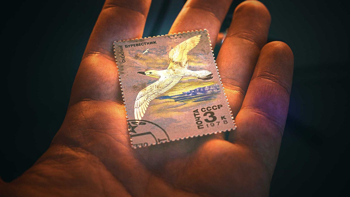 More Notes, Less Value — The Psychology Behind Collector’s Fallacy | by ...