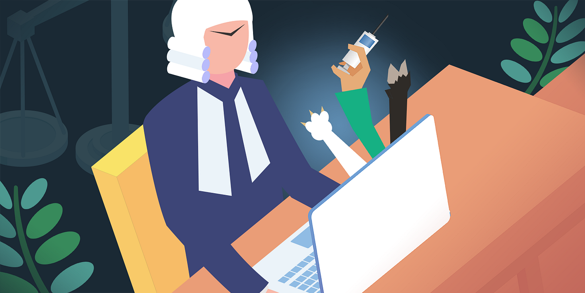 Most Embarrassing Virtual Court Mishaps | by Prevail Legal | Medium