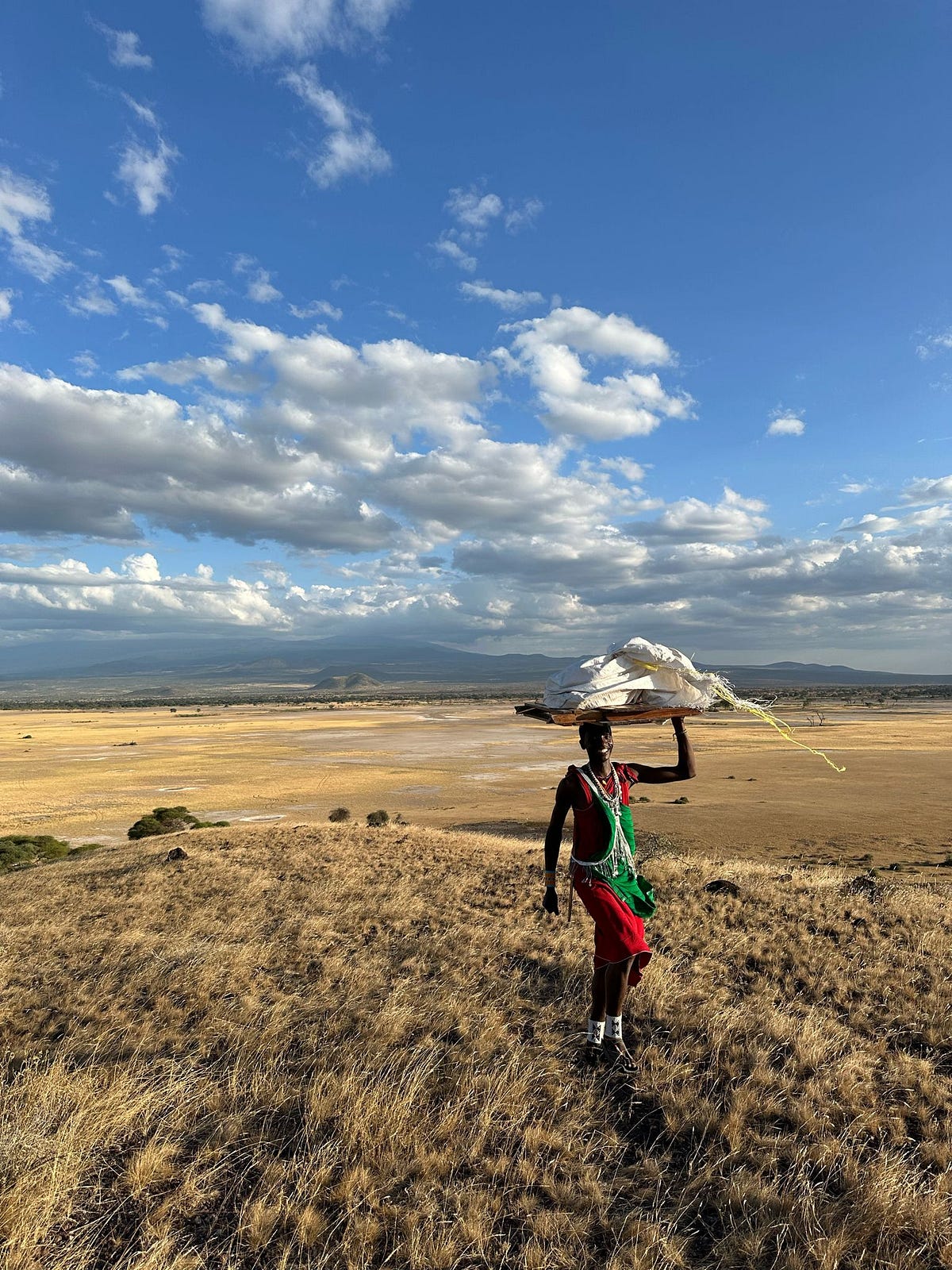 Impressões sobre o pequeno mergulho na savana africana e os antigos | by patrick belem | Medium